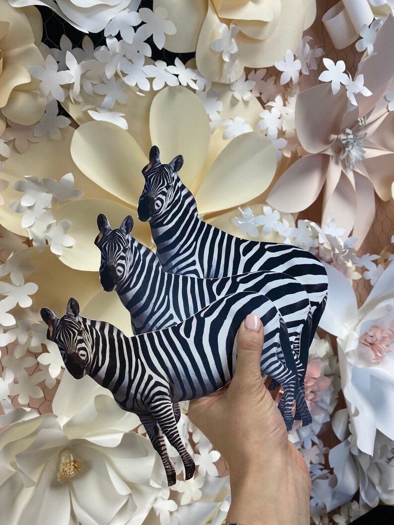 Zebra Menu/ Die Cut Cardstock Zebra Menu/ Zebra Birthday | Etsy