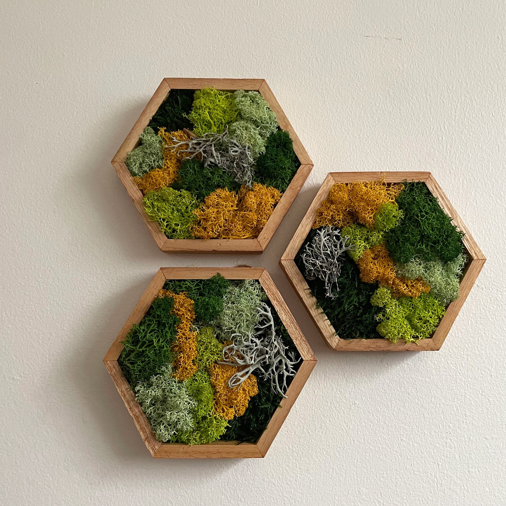 Moss Hexagon Wall Panels, Moss Wall Art, Wood Honeycomb Shelves, Wooden ...