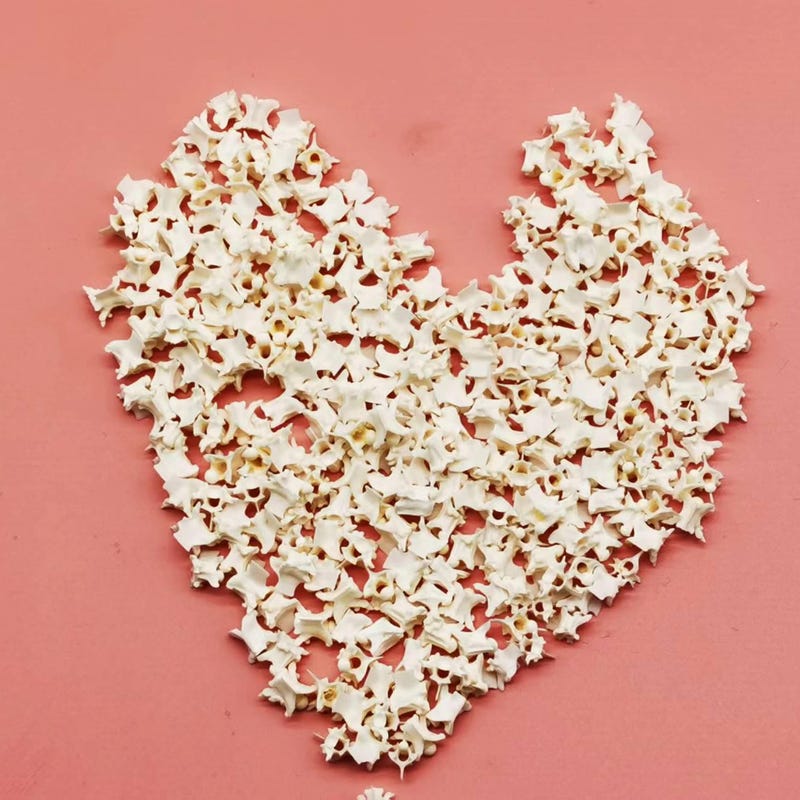 Jewelry Bones Craft - Etsy