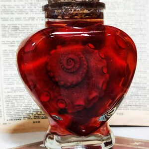 Preserved Octopus Tentacle in Heart Bottle – Red or Natural, Ethically ...