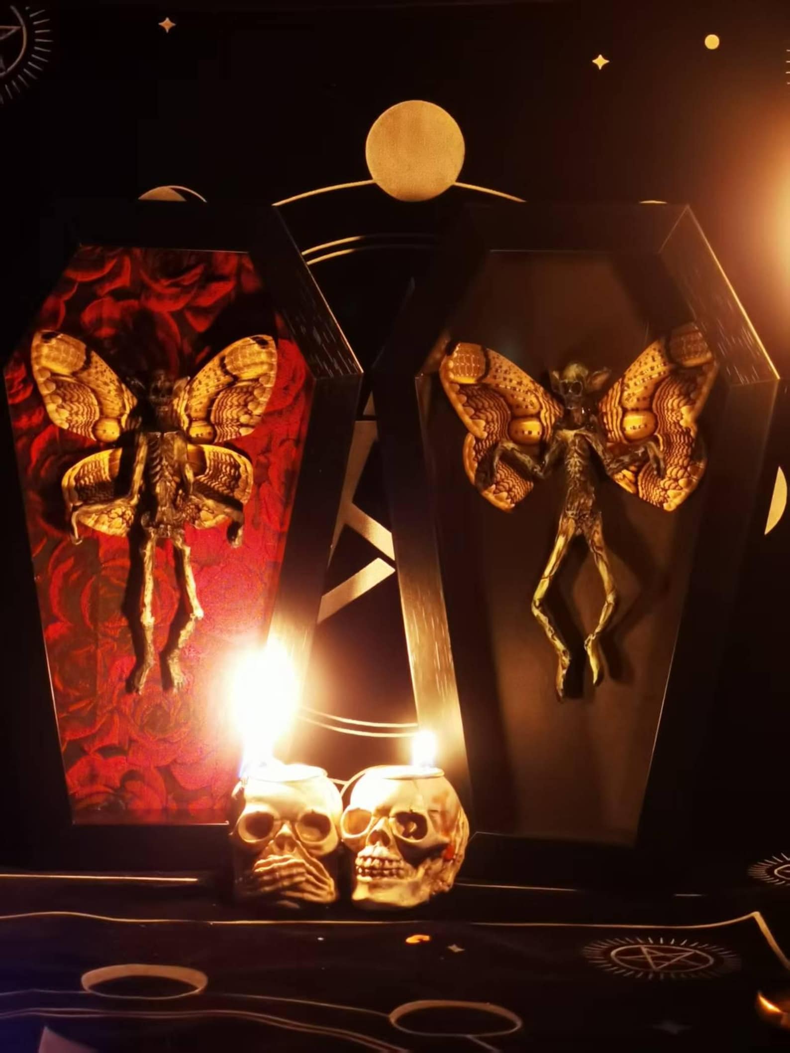 Coffin Display Mummified Fairy With Real Brahmaea Hearseyi Wings ...