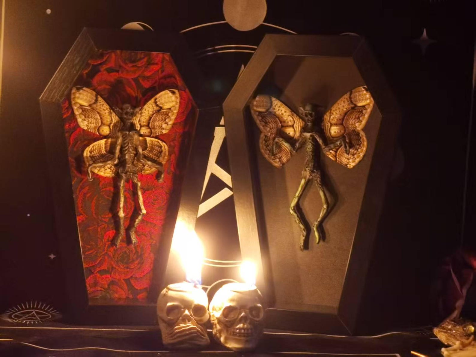 Coffin Display Mummified Fairy With Real Brahmaea Hearseyi Wings ...