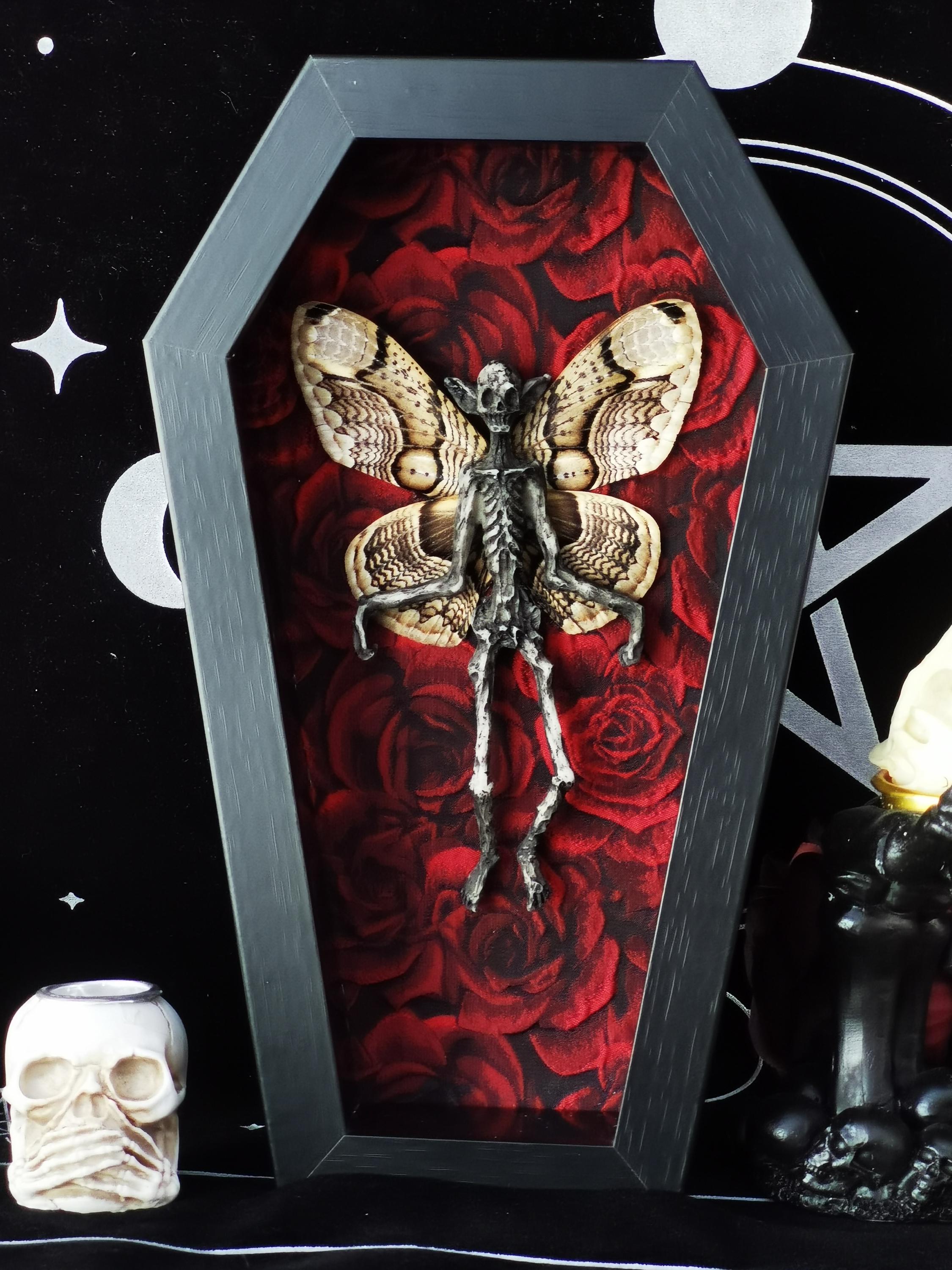 Coffin Display Mummified Fairy With Real Brahmaea Hearseyi Wings ...
