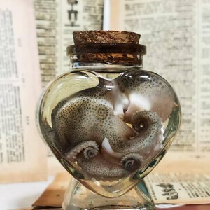 Mini Preserved Octopus in Heart Jar – Red or Natural, Ethical Wet ...