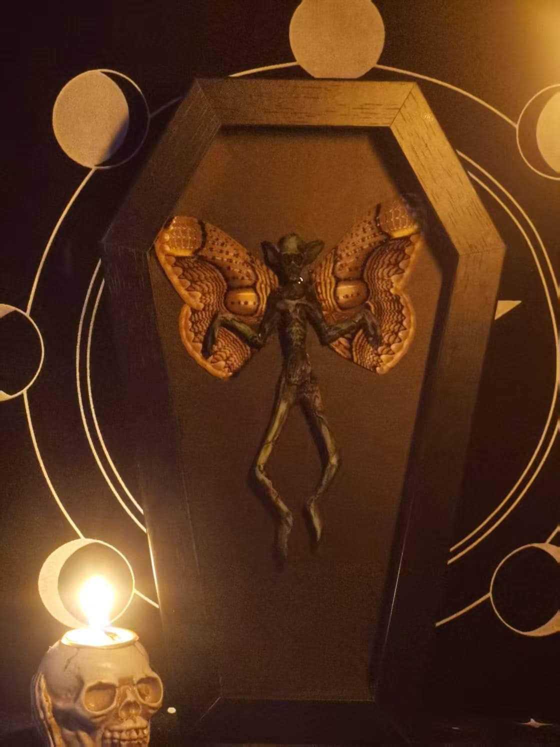 Coffin Display Mummified Fairy With Real Brahmaea Hearseyi Wings ...