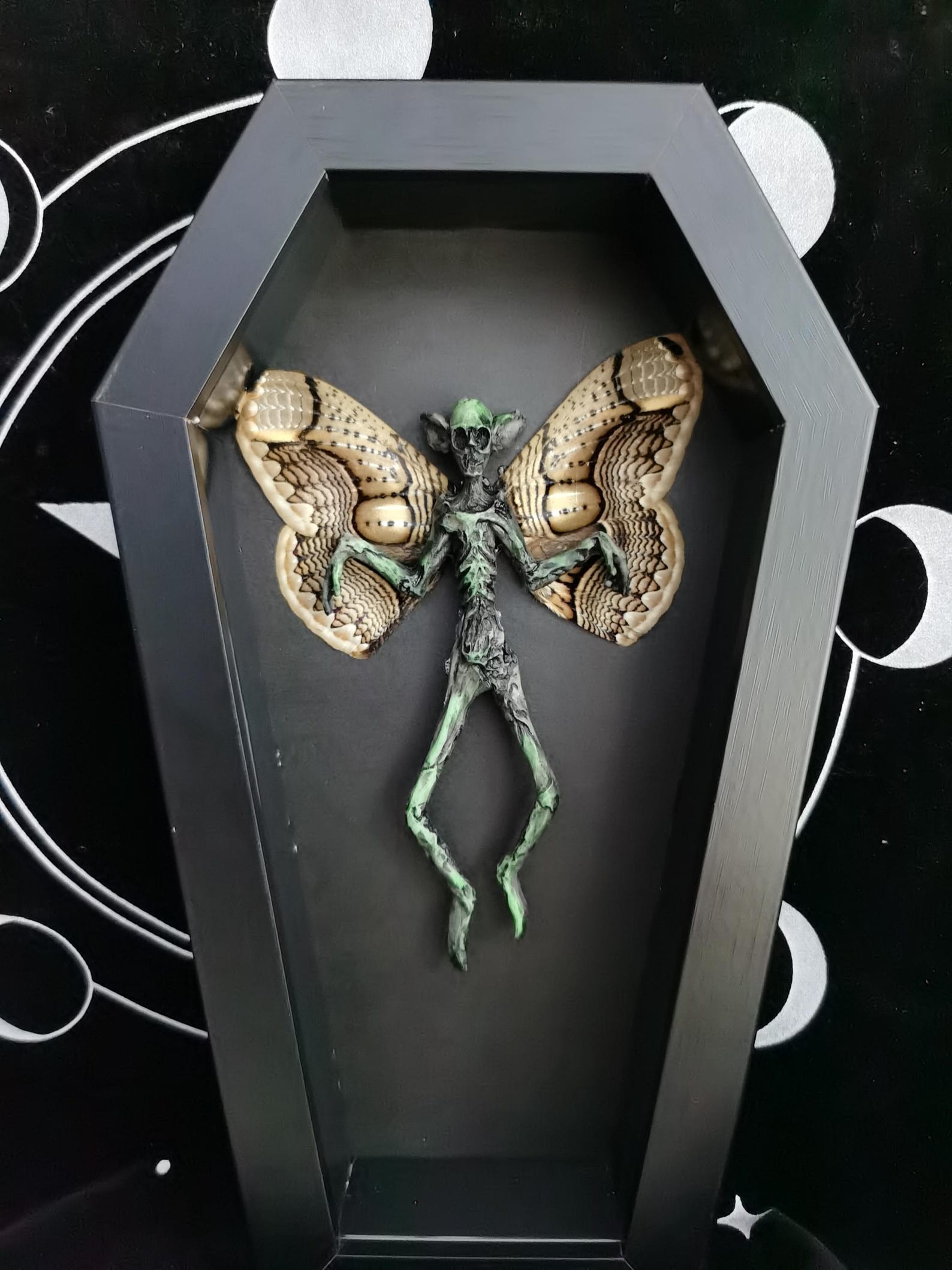 Coffin Display Mummified Fairy With Real Brahmaea Hearseyi Wings ...