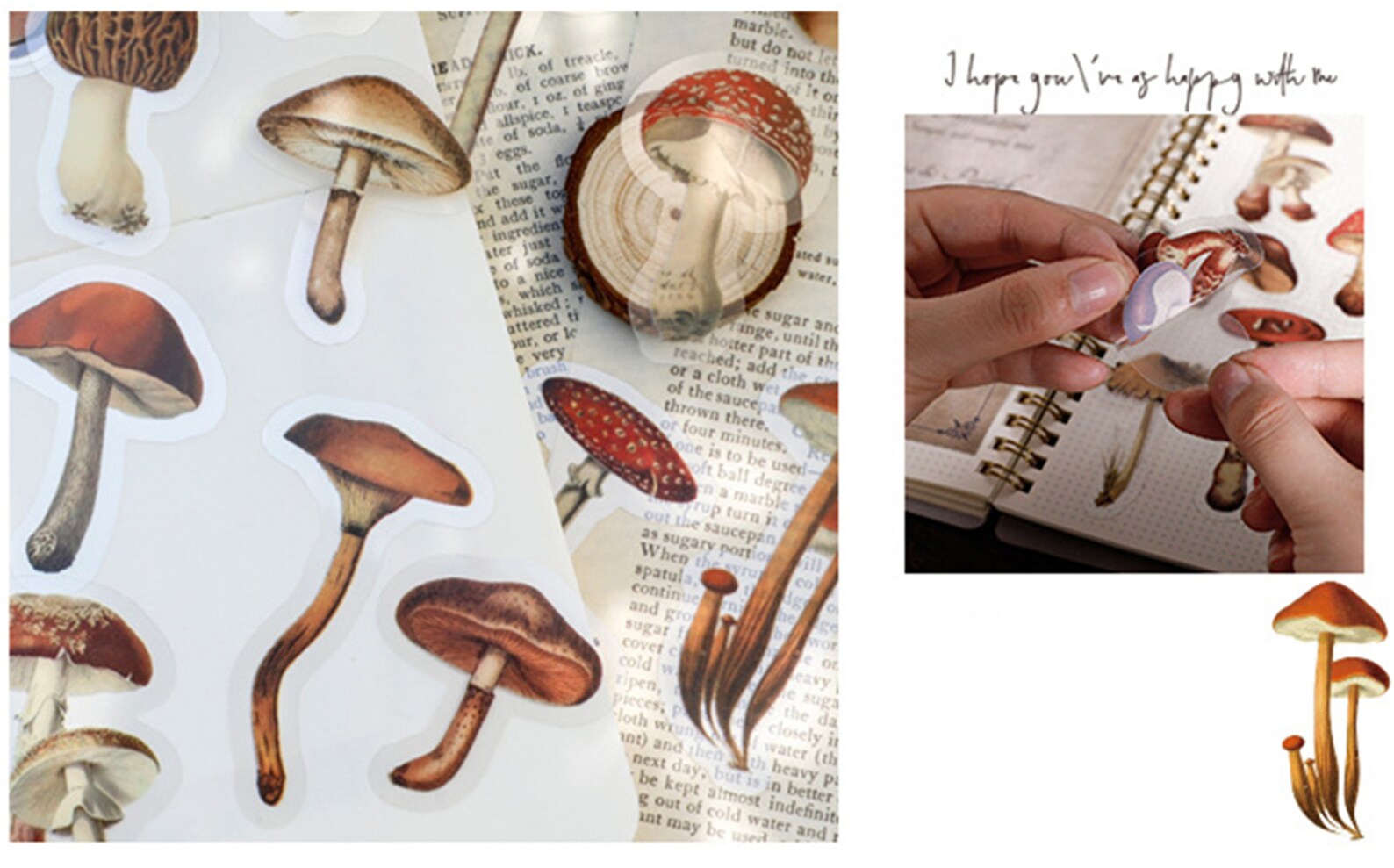 Mushroom Stickers Pack Mushroom Stickers Scrapbook Sticker | Etsy