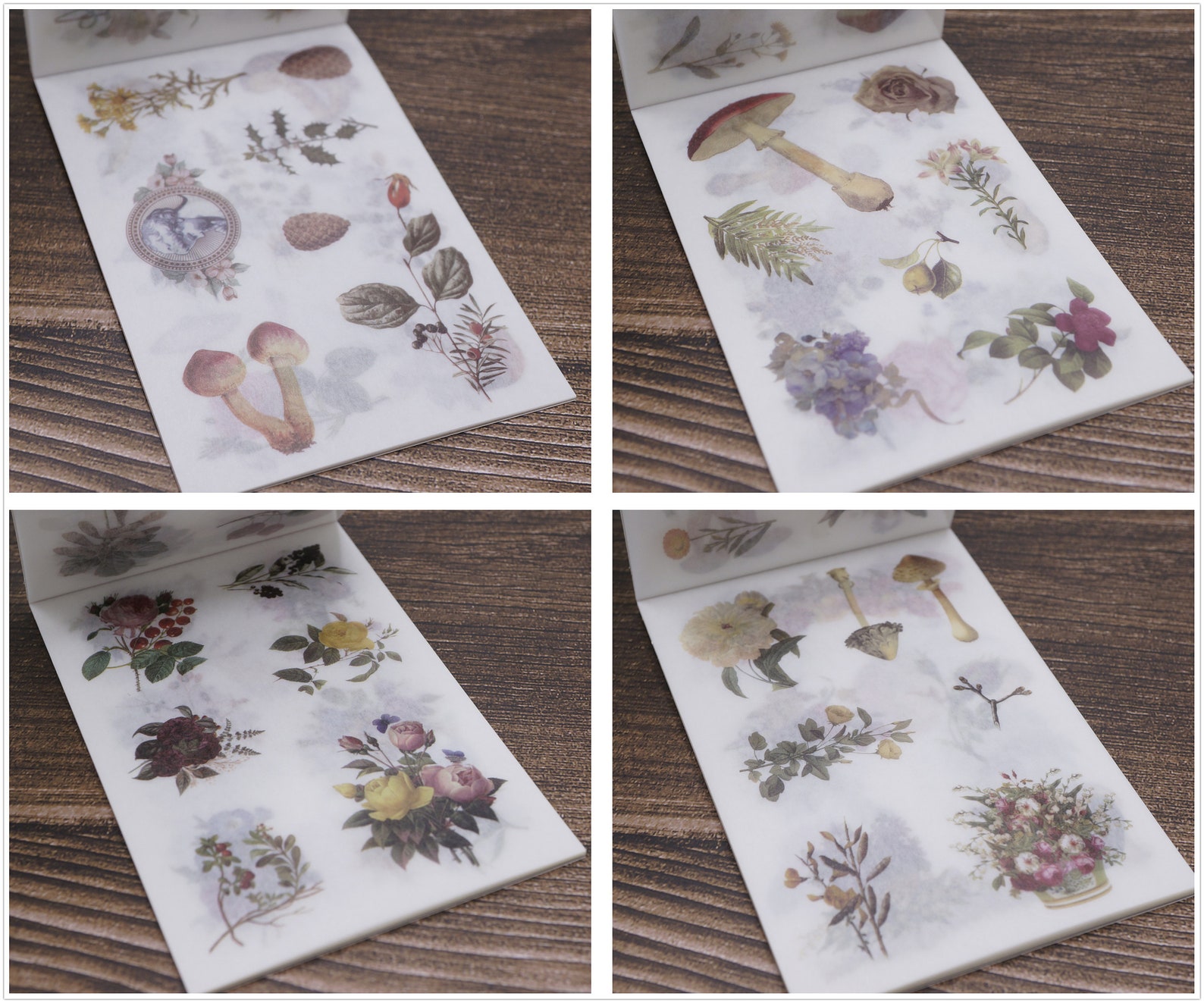 Plants Sticker Book Mushroom Stickers TZ3247 | Etsy