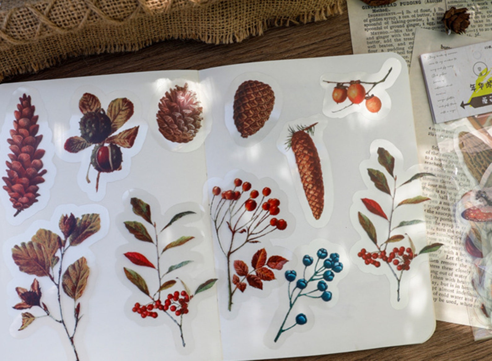 Fruit Stickers Pack Plant Sticker Pack Scrapbook Stickers | Etsy