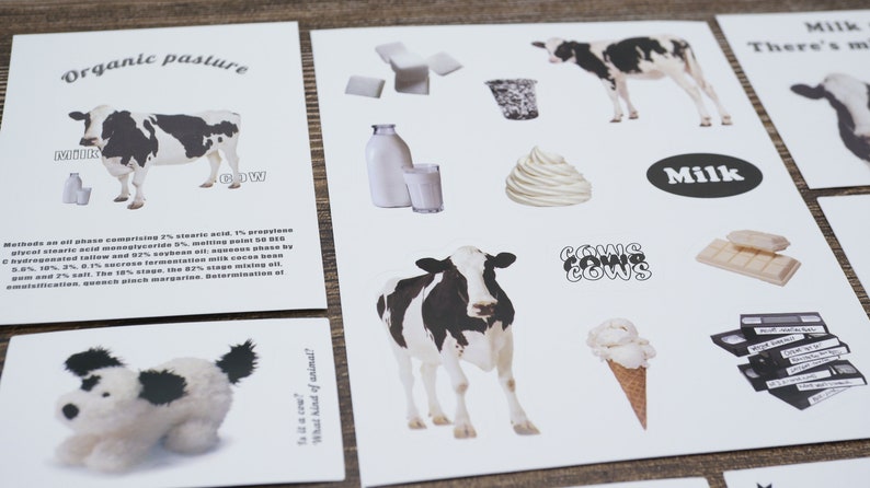 Cow and milk Sticker Set Stickers Pack Decorative sticker | Etsy