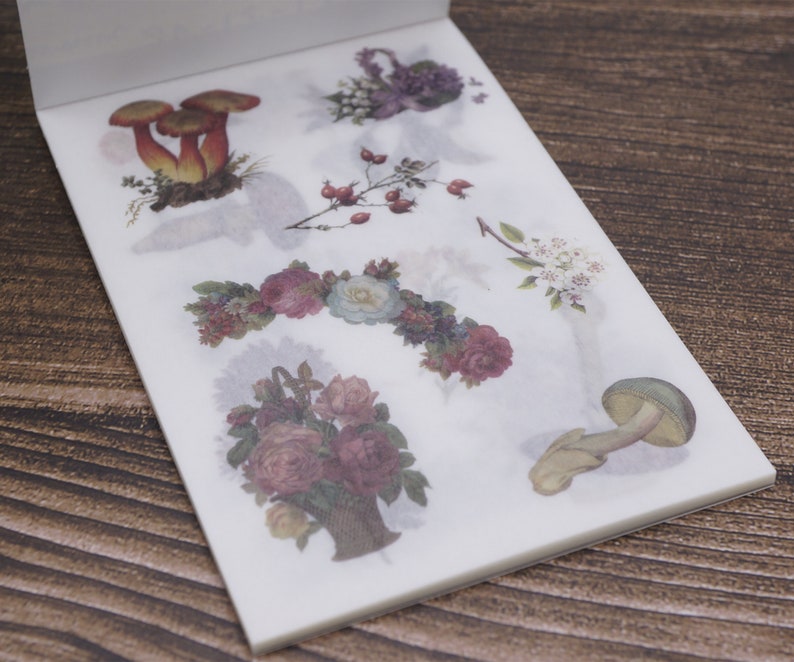 Plants Sticker Book Mushroom Stickers TZ3247 | Etsy