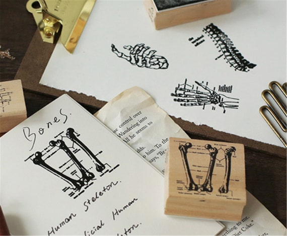 Human Skeleton Wooden rubber stamp Wood Rubber Stamps | Etsy