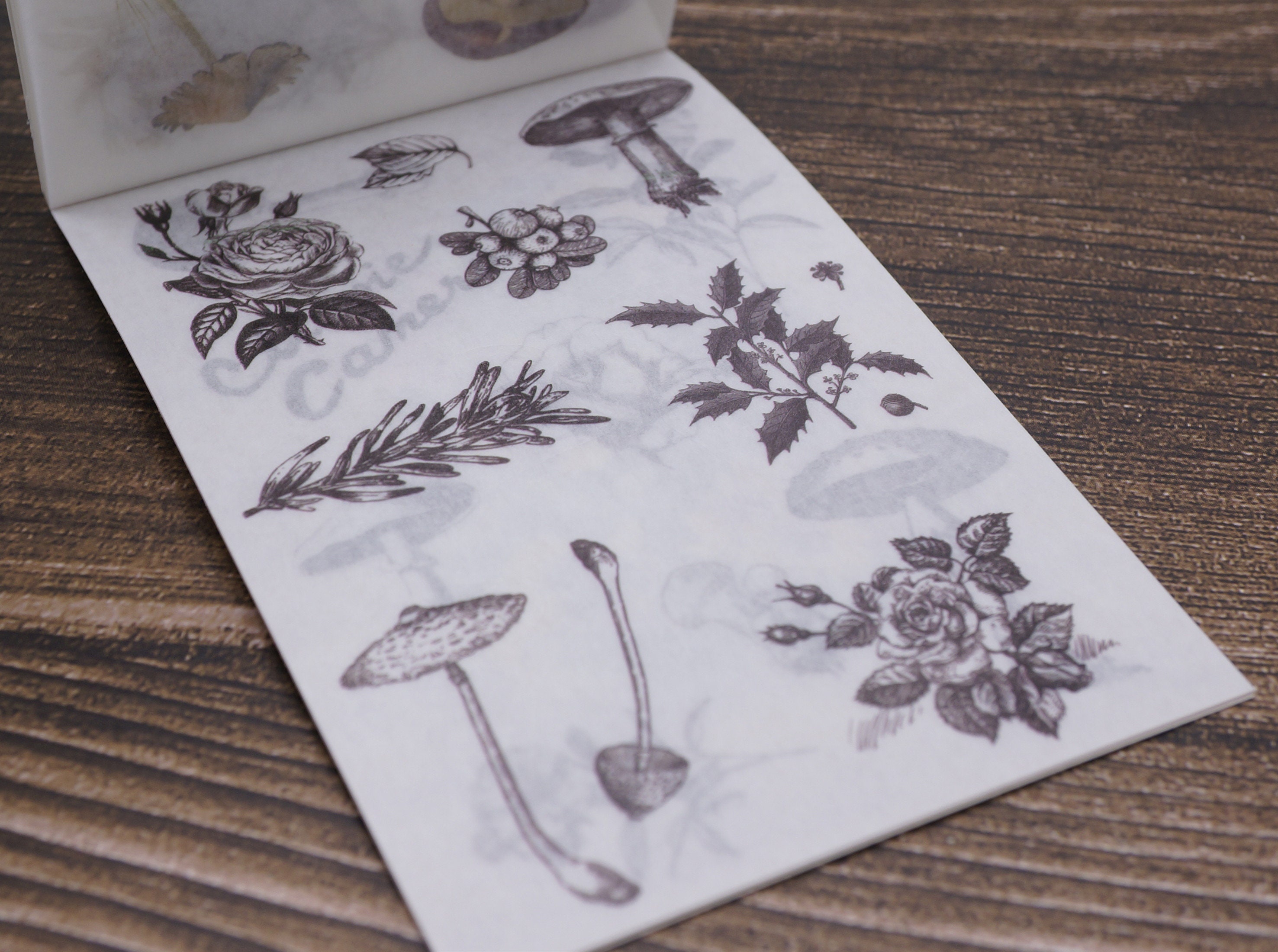 Plants Sticker Book Mushroom Stickers TZ3247 | Etsy