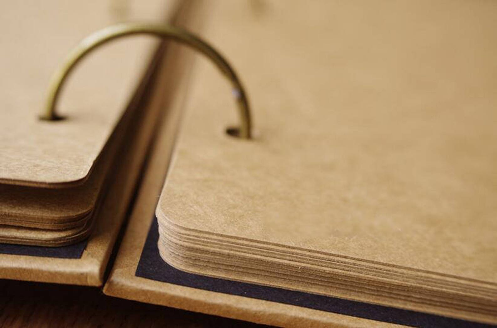 50 Pages Ring Binder Photo Album /Kraft Scrapbook Album | Etsy