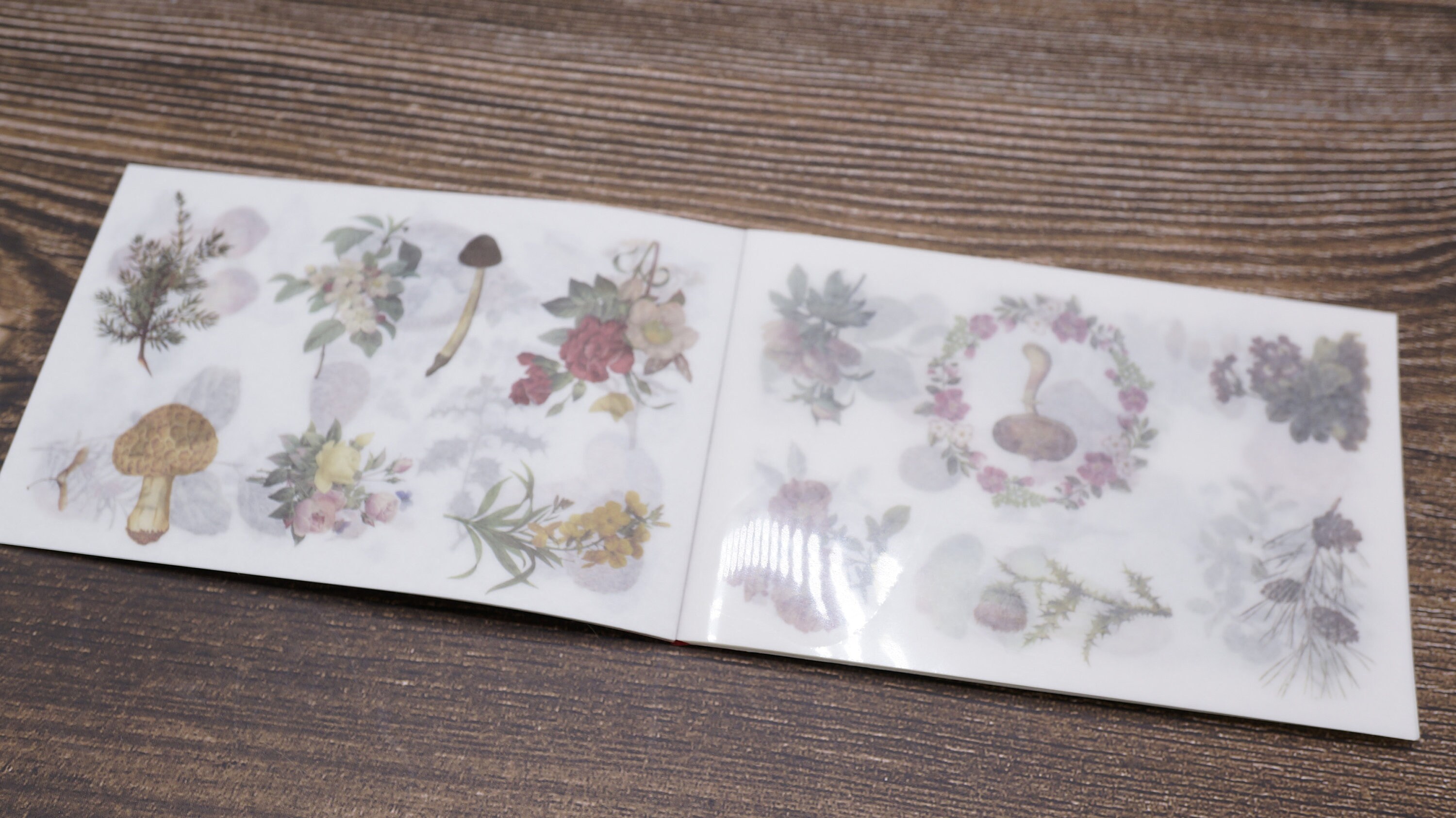 Plants Sticker Book Mushroom Stickers TZ3247 | Etsy