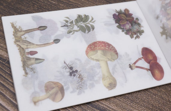 Plants Sticker Book Mushroom Stickers TZ3247 | Etsy