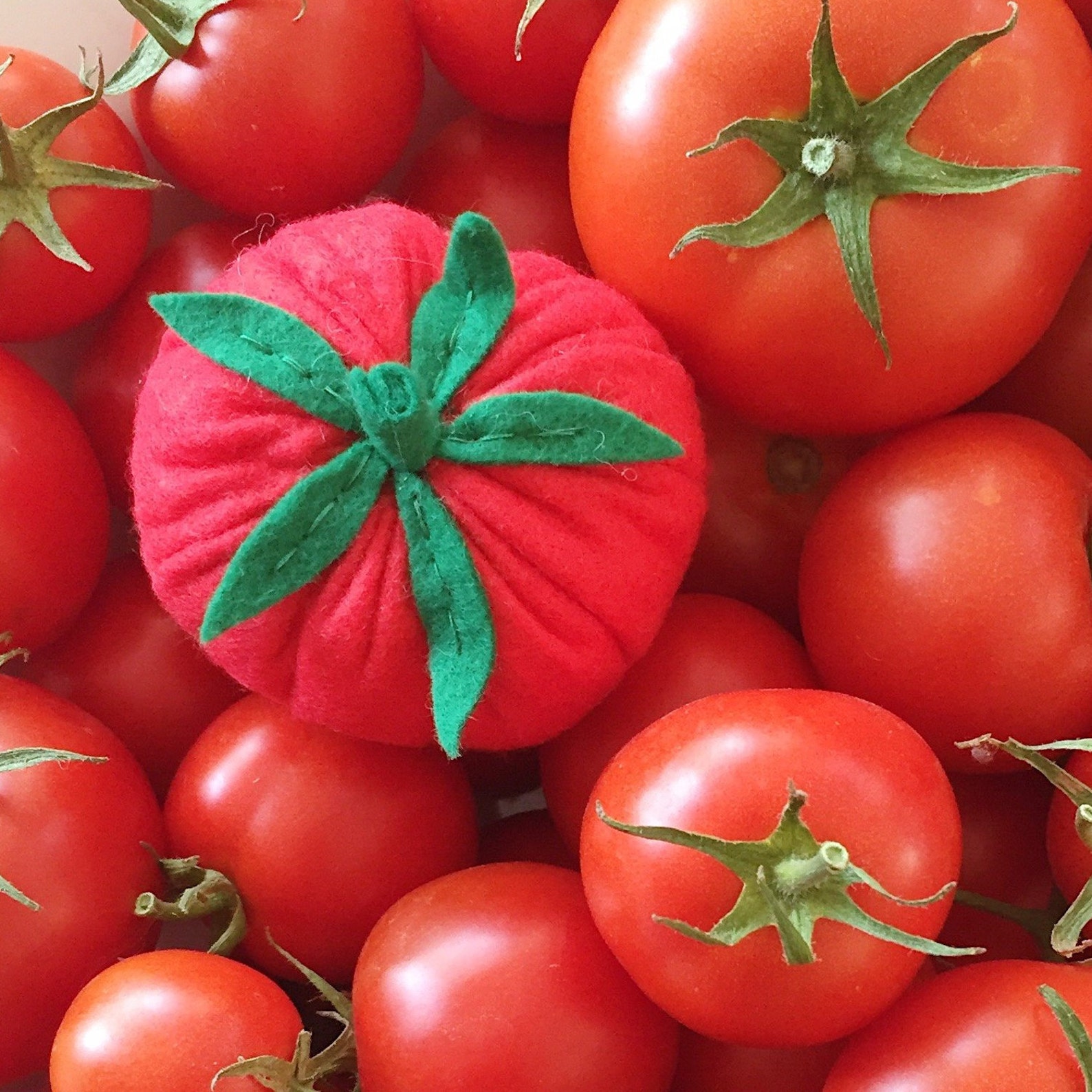 Felt Food Tomatoes Play Food Vegetables Pretend Play - Etsy
