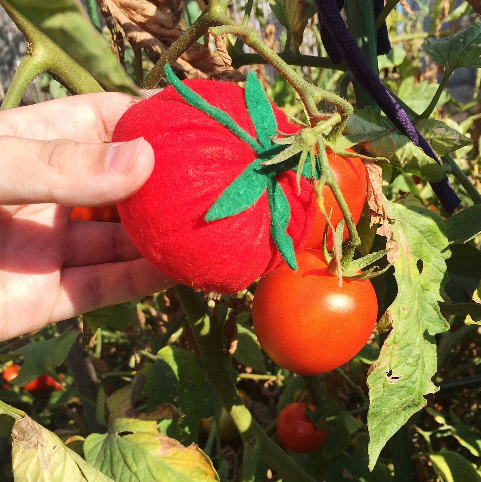 Felt Food Tomatoes Play Food Vegetables Pretend Play - Etsy