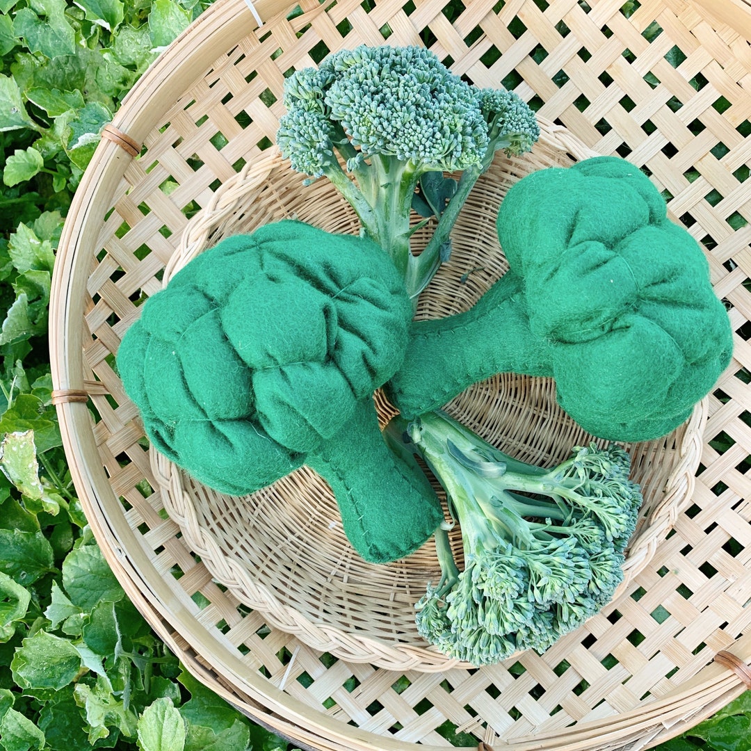 Felt Food Broccoli, Play Food Vegetables, Felt Garden, Play Pretend ...