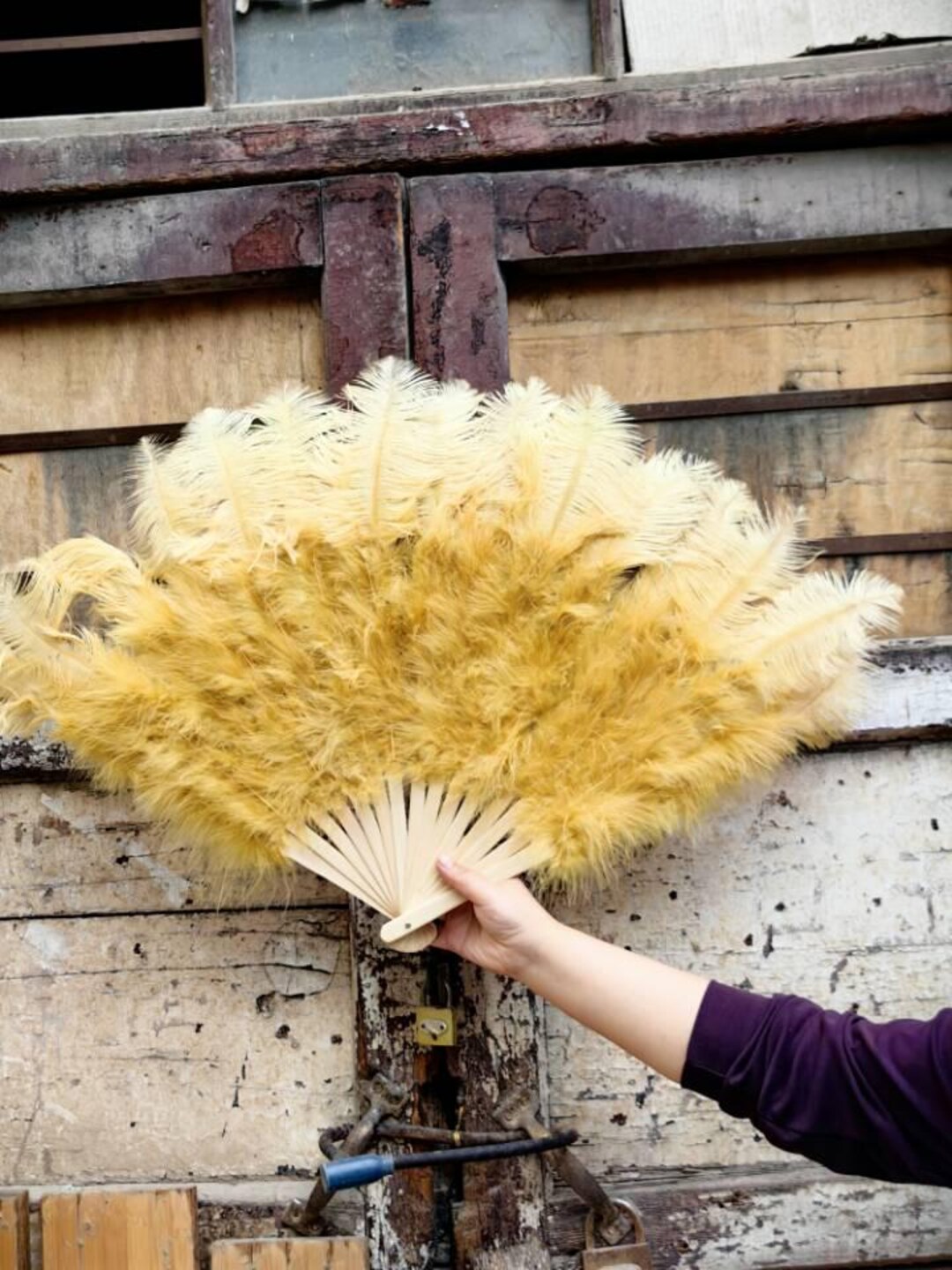 14*24inch Peacock White Large Feather Fan Burlesque Dance Feather Fan ...