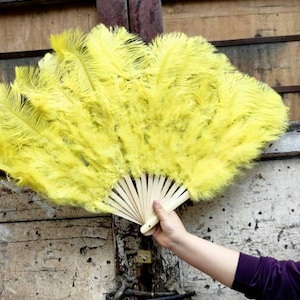 14*24inch Peacock White Large Feather Fan Burlesque Dance Feather Fan ...