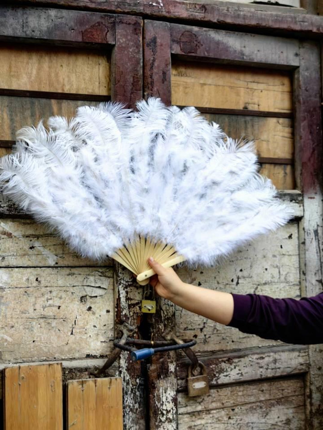 14*24inch Peacock White Large Feather Fan Burlesque Dance Feather Fan ...
