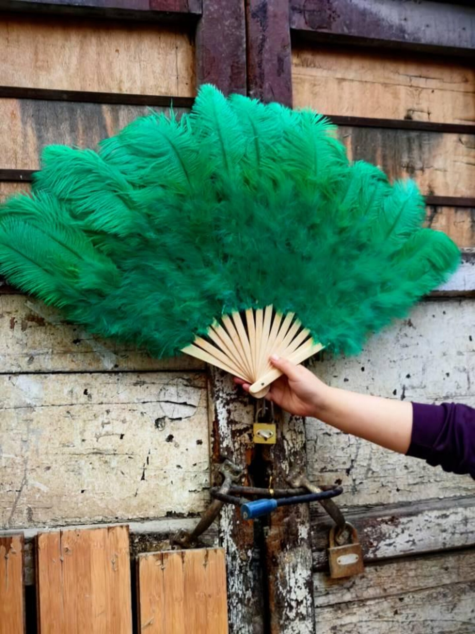 14*24inch Peacock White Large Feather Fan Burlesque Dance Feather Fan ...