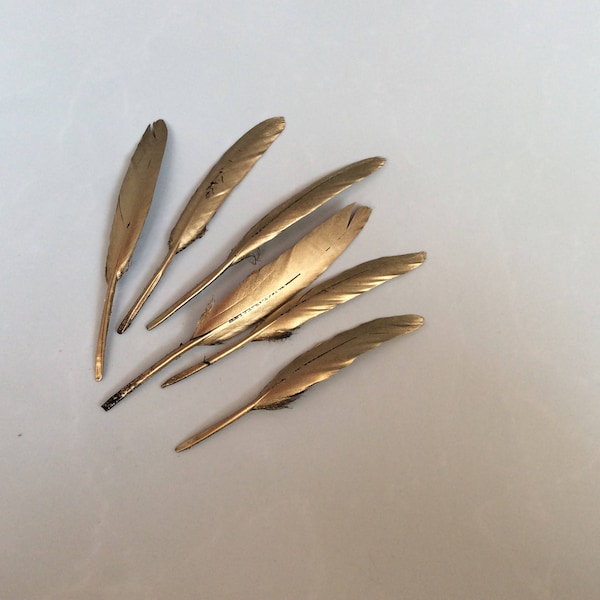 Quill Feather - Etsy