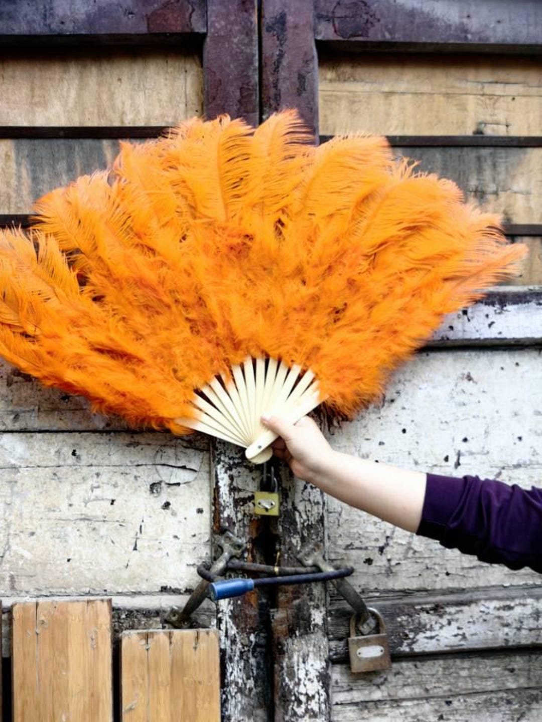 14*24inch Peacock White Large Feather Fan Burlesque Dance Feather Fan ...