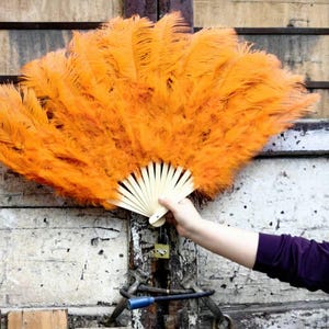 14*24inch Peacock White Large Feather Fan Burlesque Dance Feather Fan ...