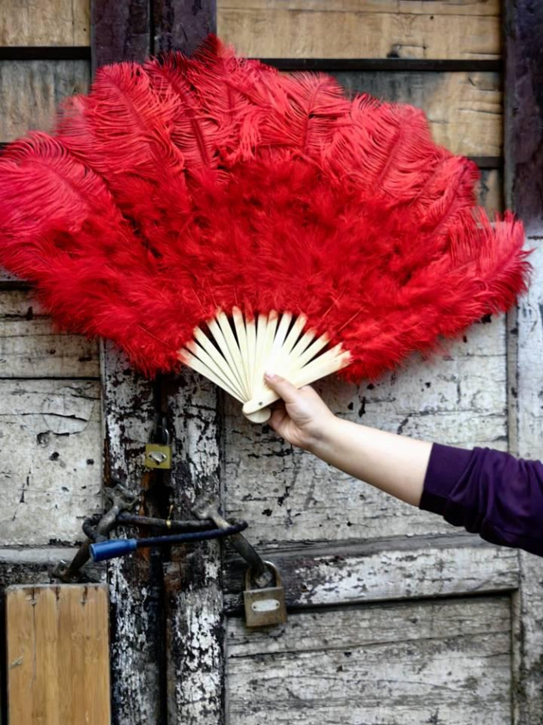 14*24inch Peacock White Large Feather Fan Burlesque Dance Feather Fan ...
