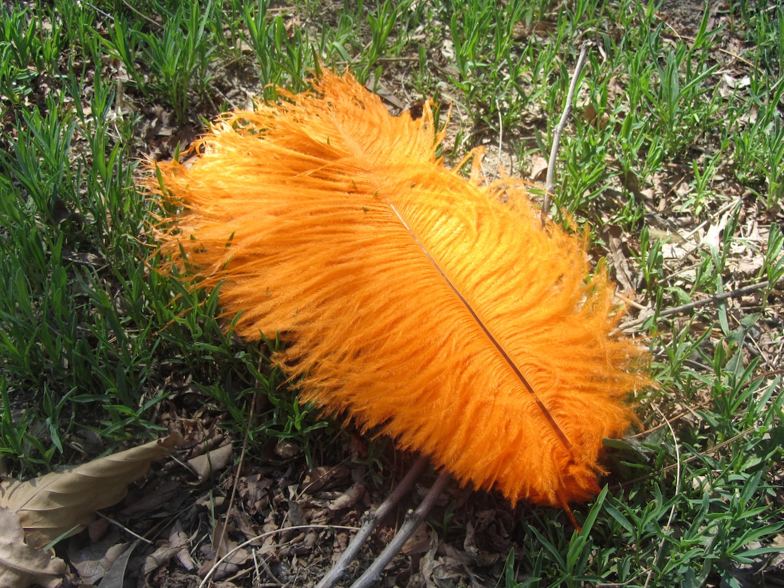 20pcs Orange Ostrich Feather for Wedding Table Centerpiece,feather ...