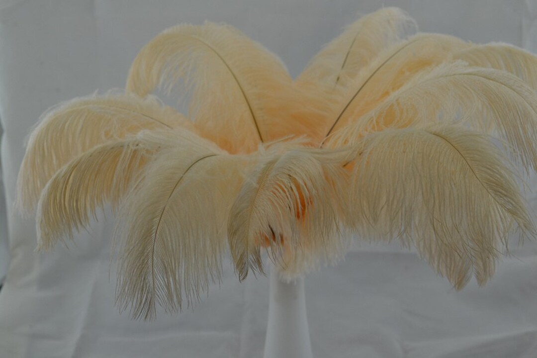 100pcs Ivory Corlor Ostrich Feather for Wedding Table Centerpieces ...