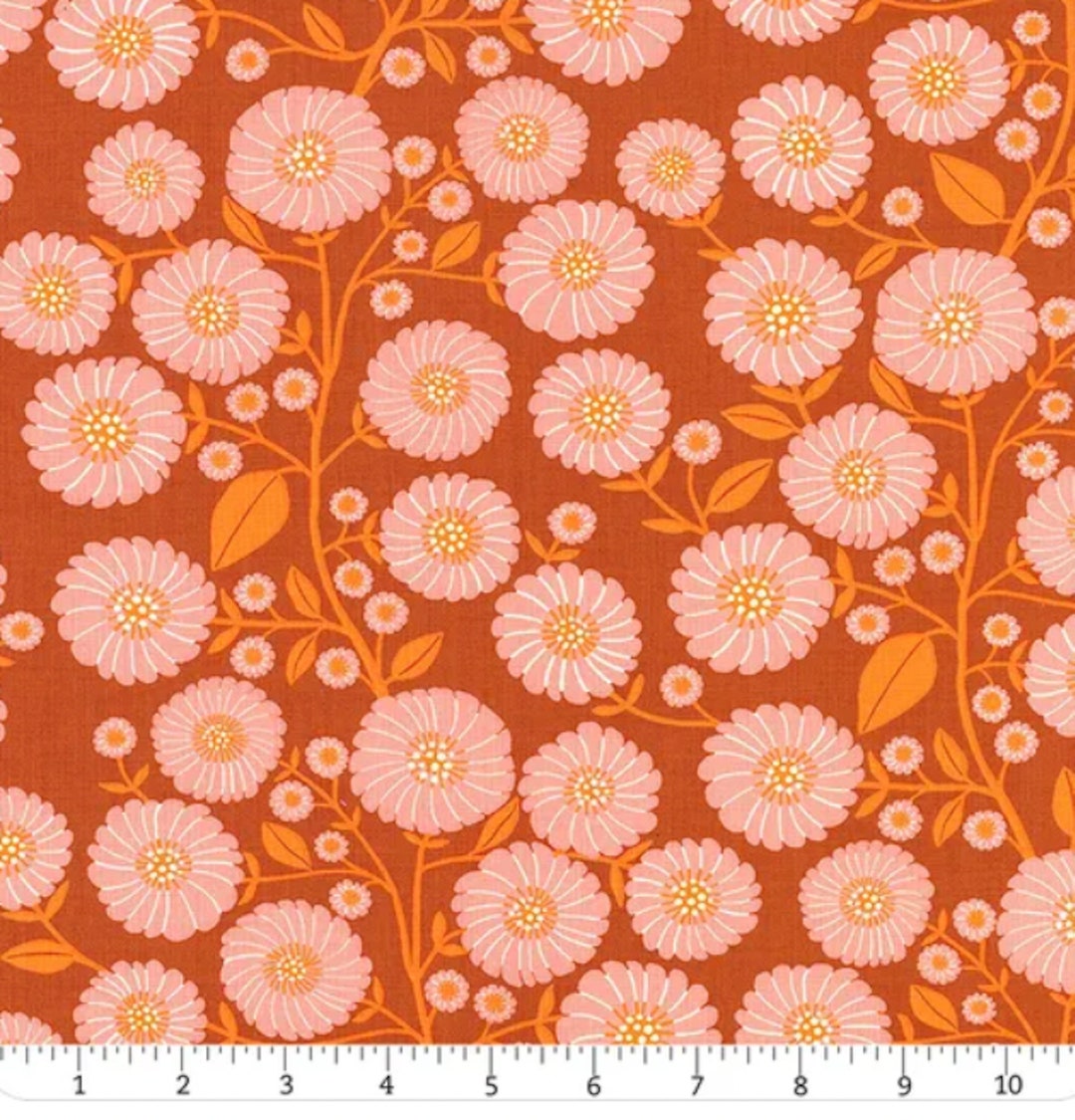 Floradora Cayenne Strawflower | Ruby Star Society | Orange-red Pink ...
