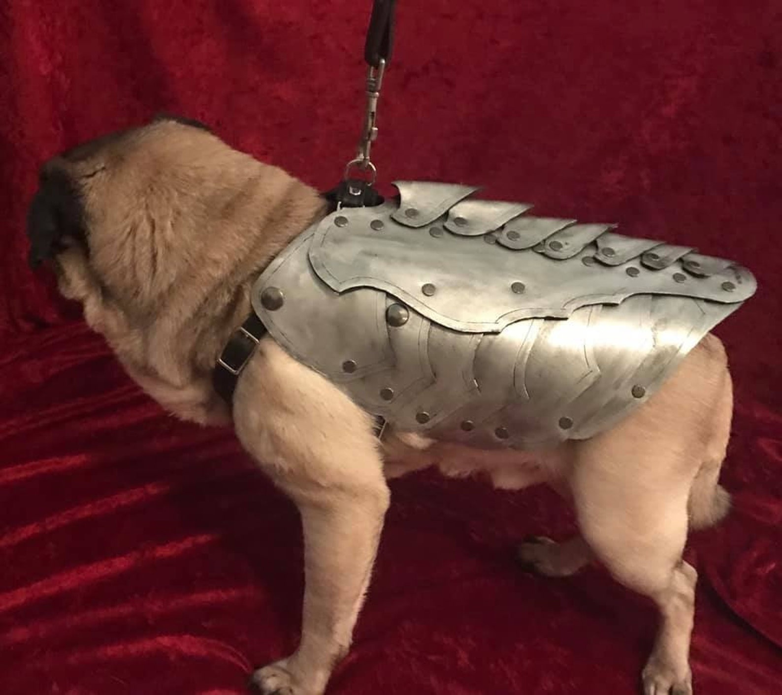 Leather Pug Battle Armor - Etsy