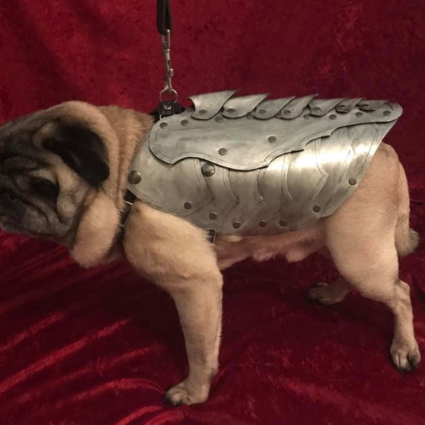 Leather Armor - Etsy
