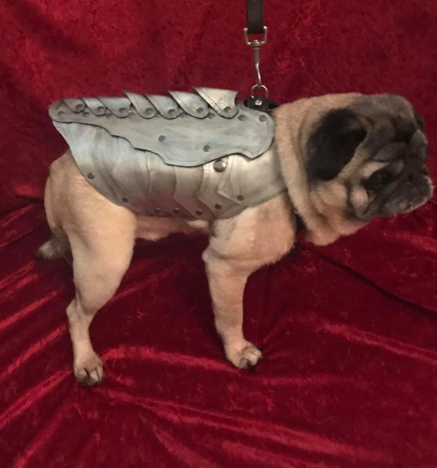 Leather Pug Battle Armor - Etsy
