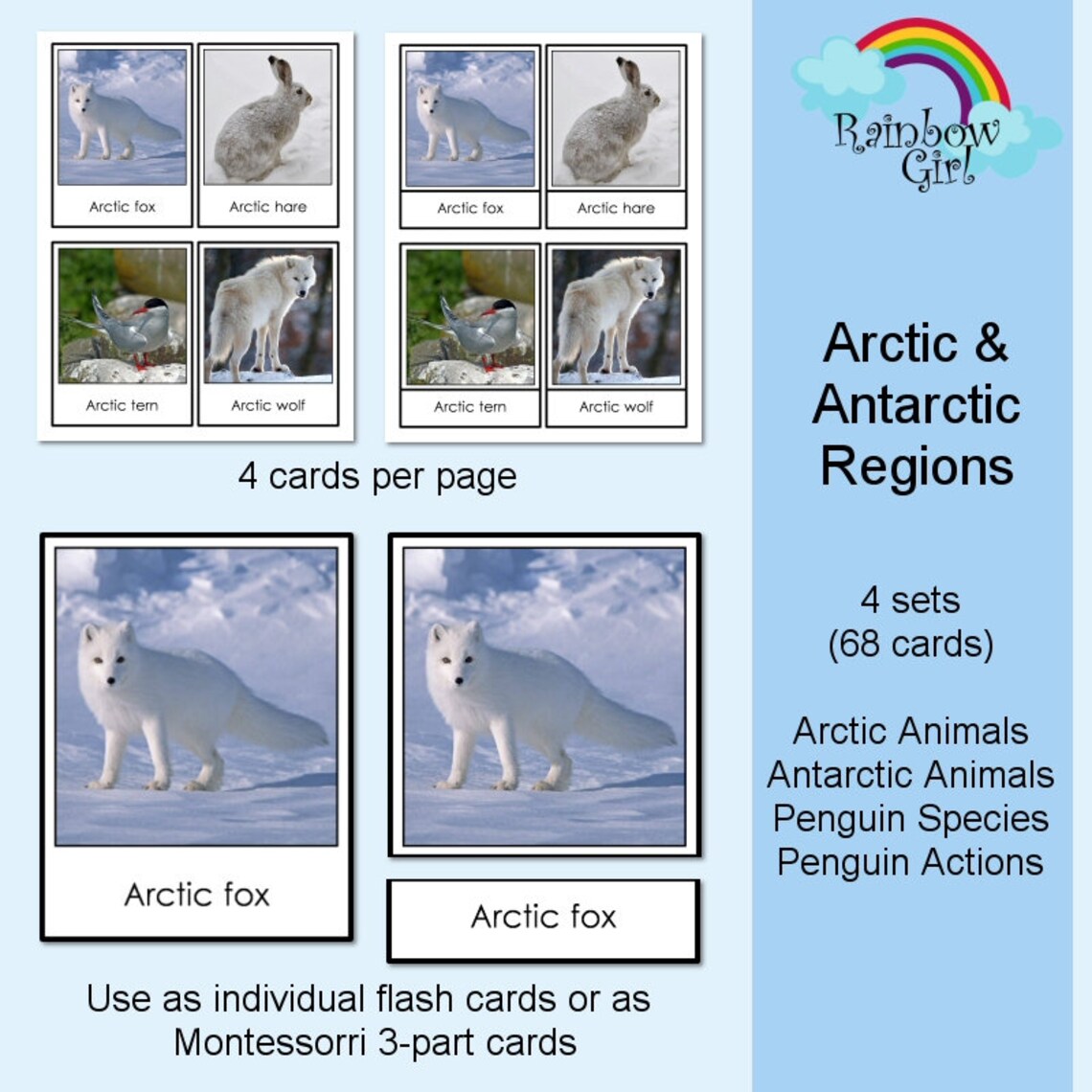 Polar Animals / Arctic Animals / Antarctic Animals / Penguins - Etsy