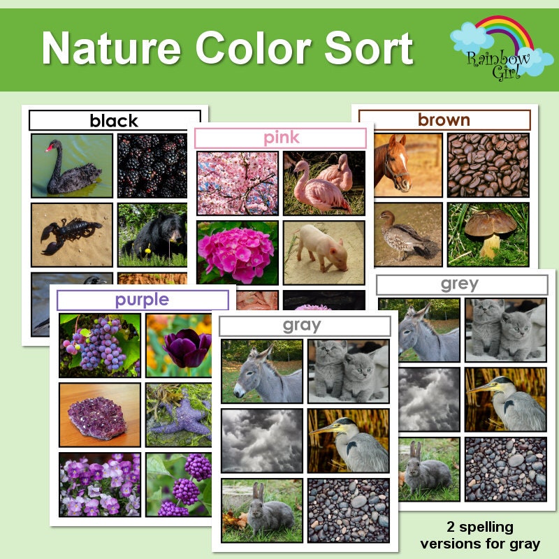 Nature Color Sorting Activity Game / Printable Posters - Etsy