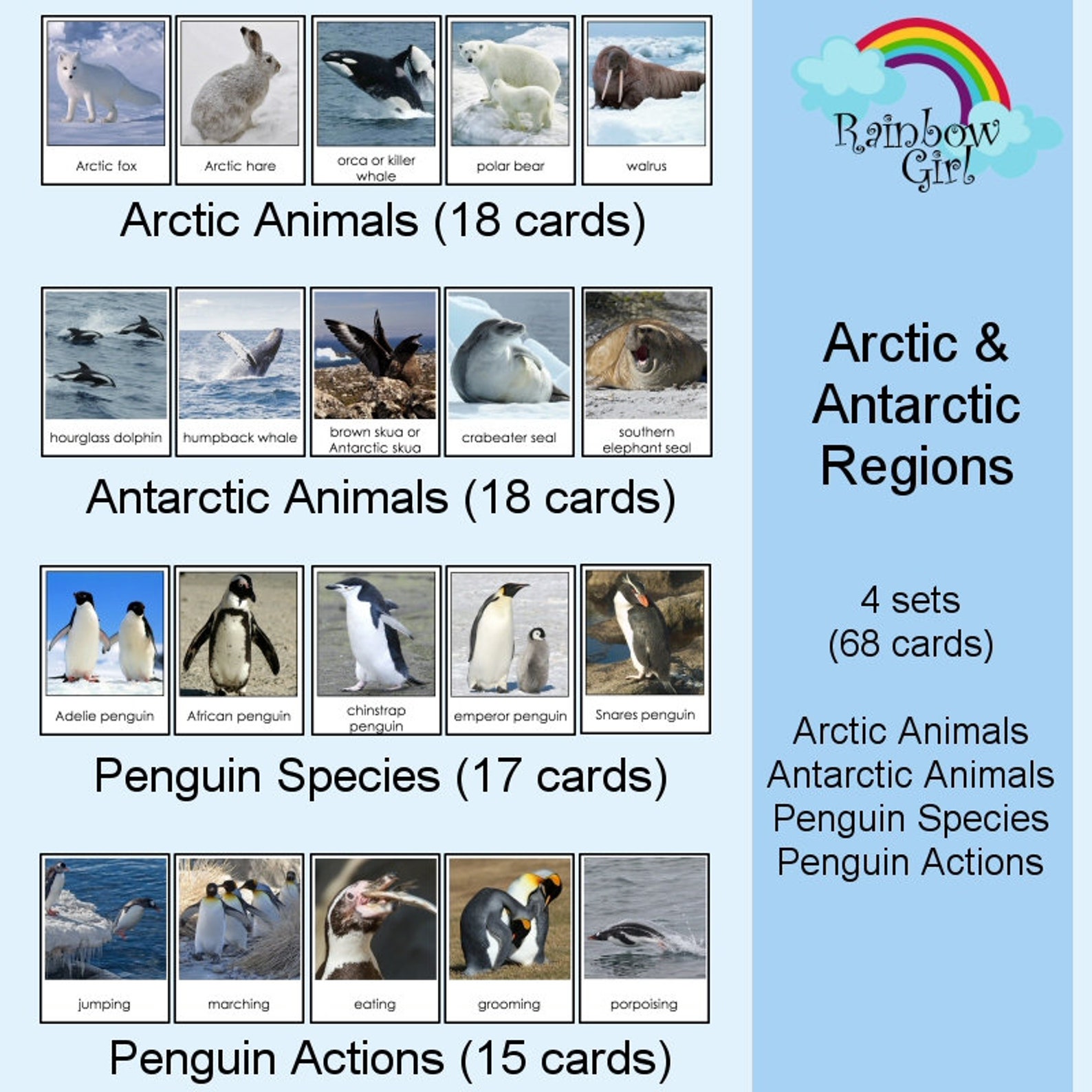 Polar Animals / Arctic Animals / Antarctic Animals / Penguins - Etsy