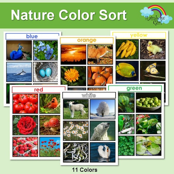Nature Color Sorting Activity Game | Etsy