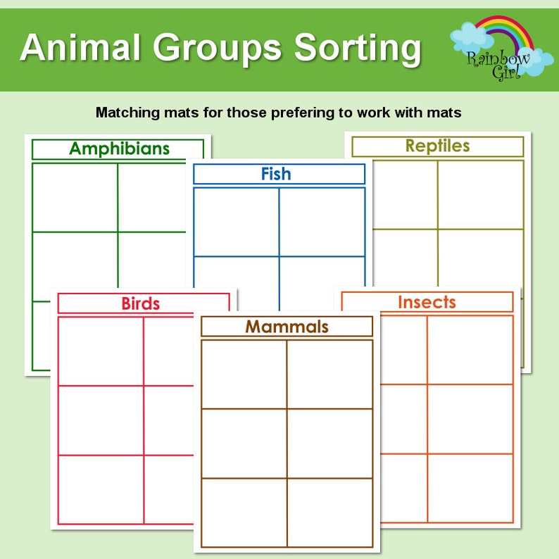 Animal Groups Sorting Activity Game / Printable Posters - Etsy