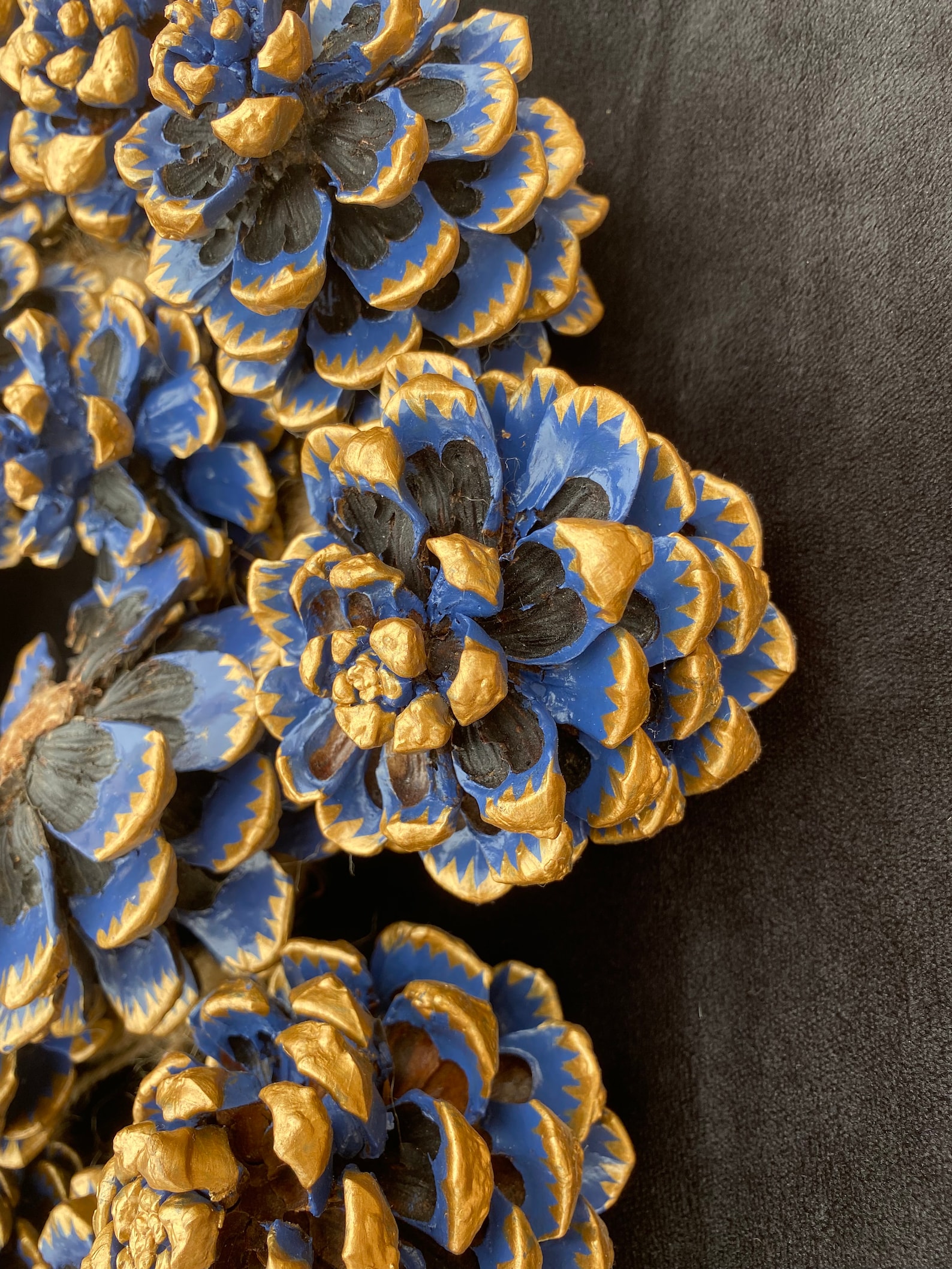 Pinus Pinea Pine Cone Crown in Intense Blue Color and Outlined Edge in ...