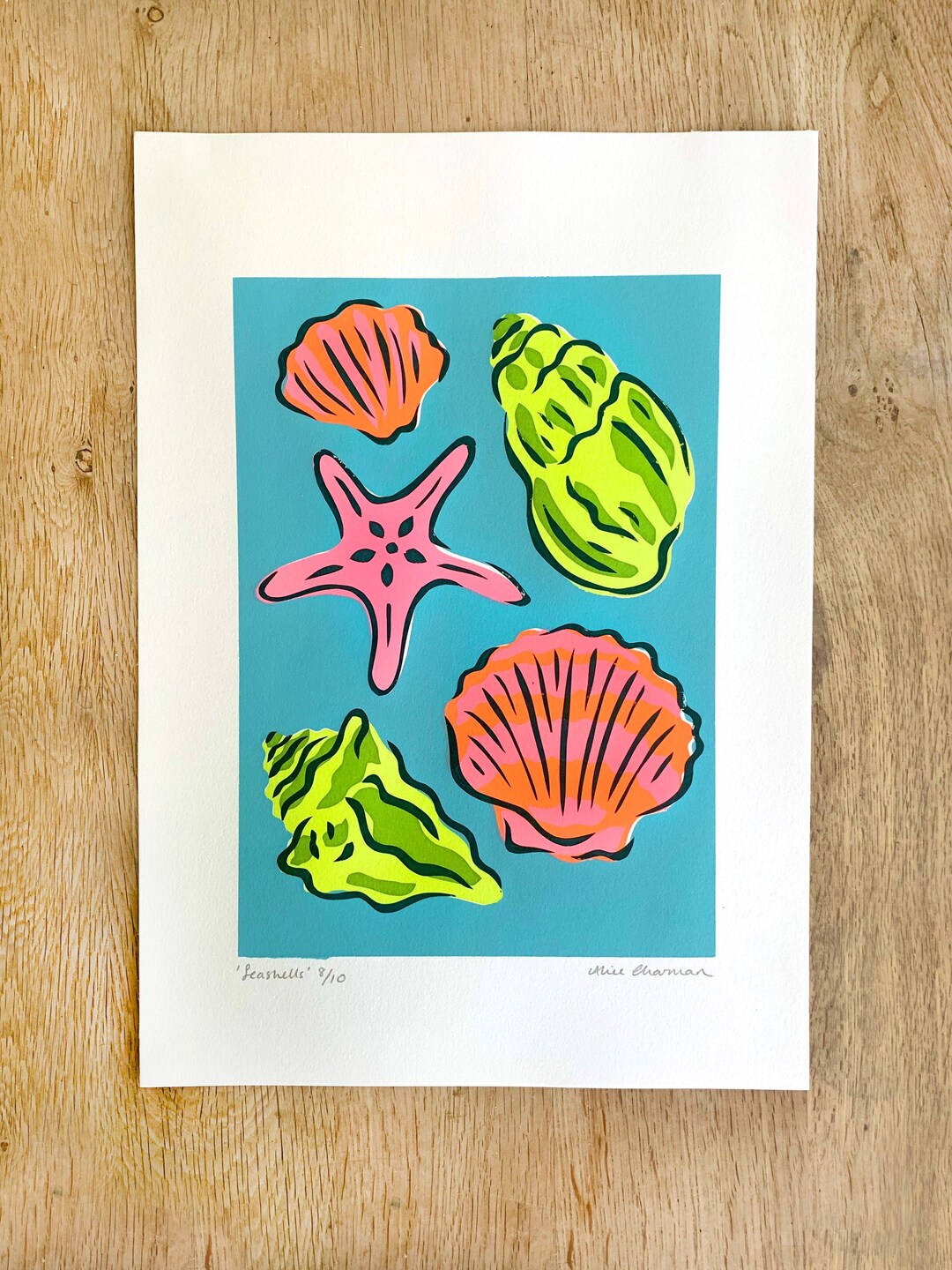 Colourful Seashells Screen Print - Etsy
