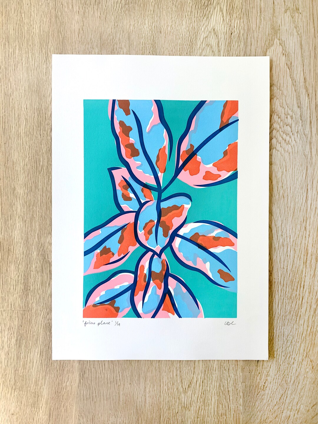 Colourful Ficus House Plant Screen Print - Etsy