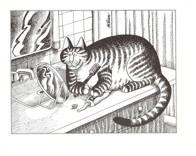 Kliban Cats Vintage Original Print Cat Looking Into Vanity - Etsy