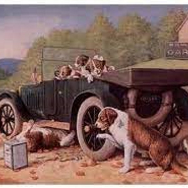 CM Coolidge Dogs 5 Dogs Playing Pool German Shepard Dog Love Painting ...