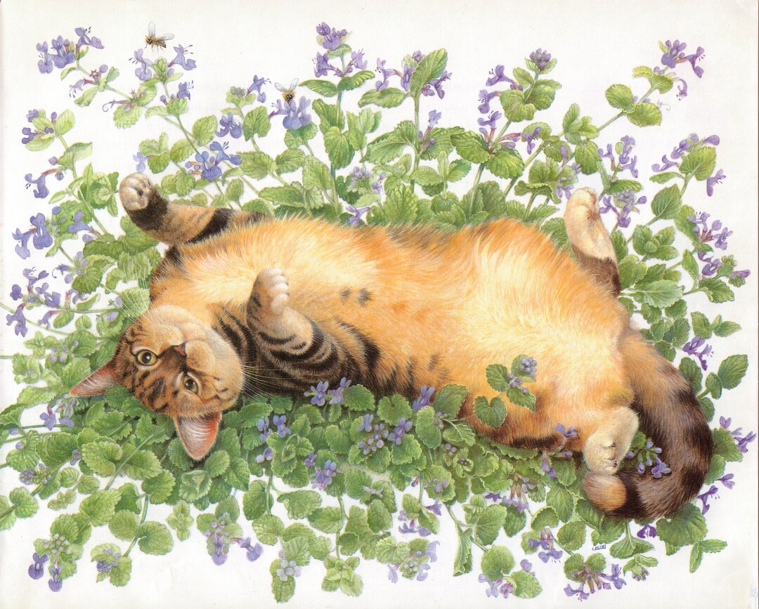 Lesley Anne Ivory Cats Vintage Cat Print Cute Cats Art Feline Art Print ...