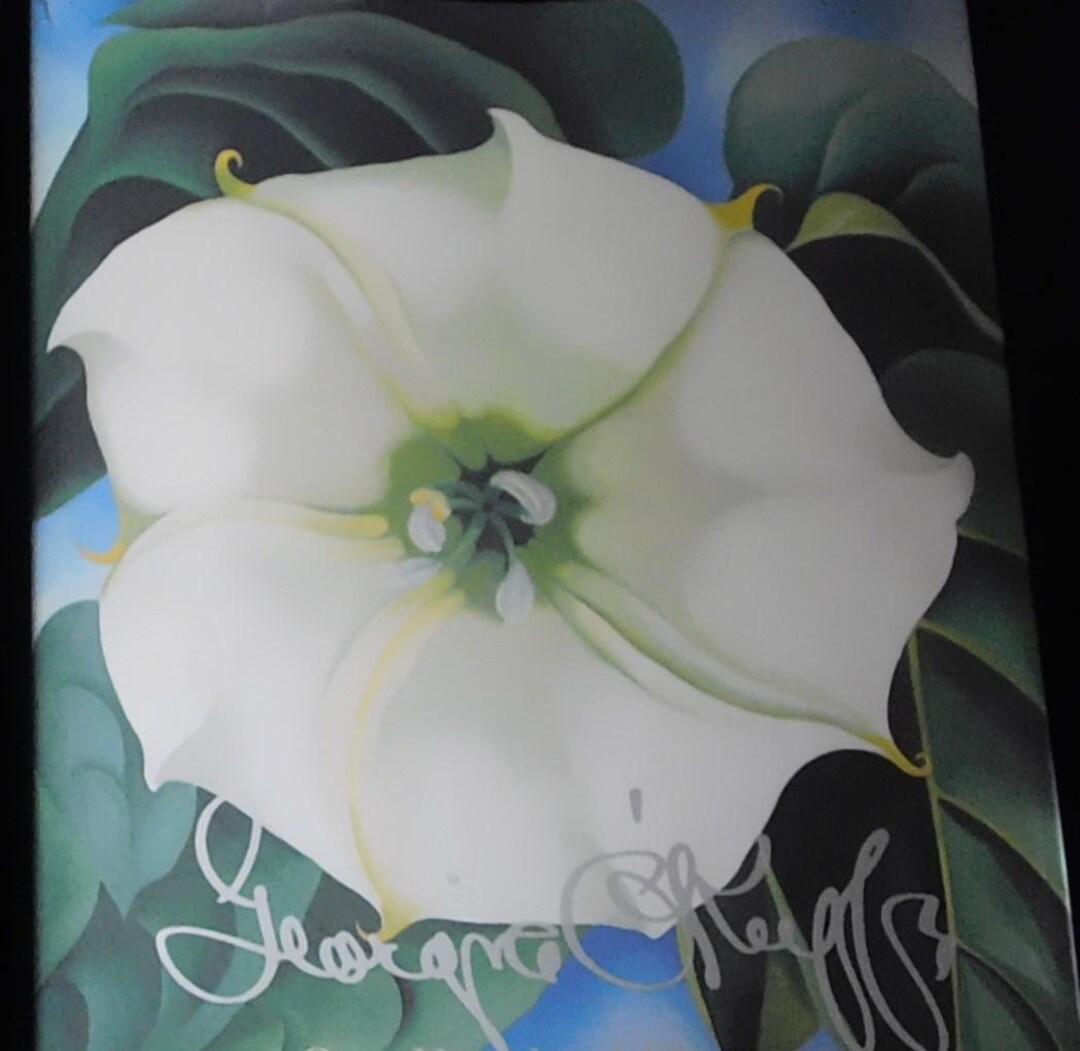 Georgia Okeeffe One Hundred Flowers 1st Paperback Edition 1989 With ...