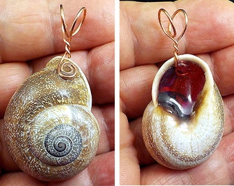 Snail Shell Necklace | Etsy